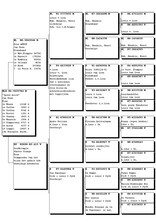 NL06-5622784 Speed Arrow – Jan Keen – Ter Apel